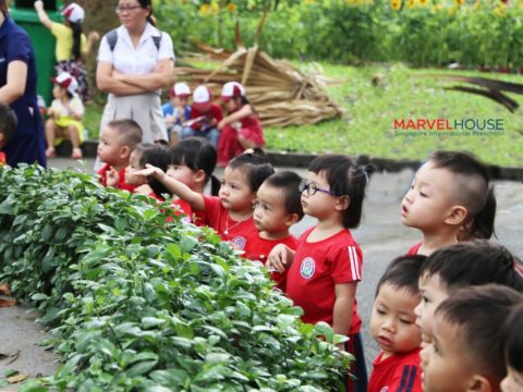 NEL: Discovery Of The World, Teach Children How to Explore the World ...